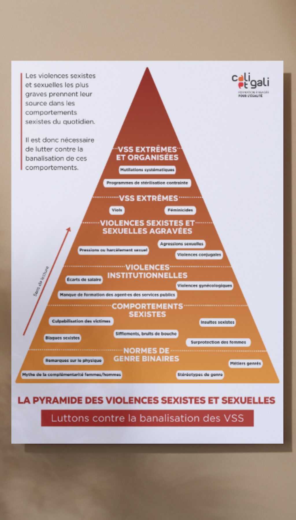 Continuum des violences faites aux femmes - Cali et Gali